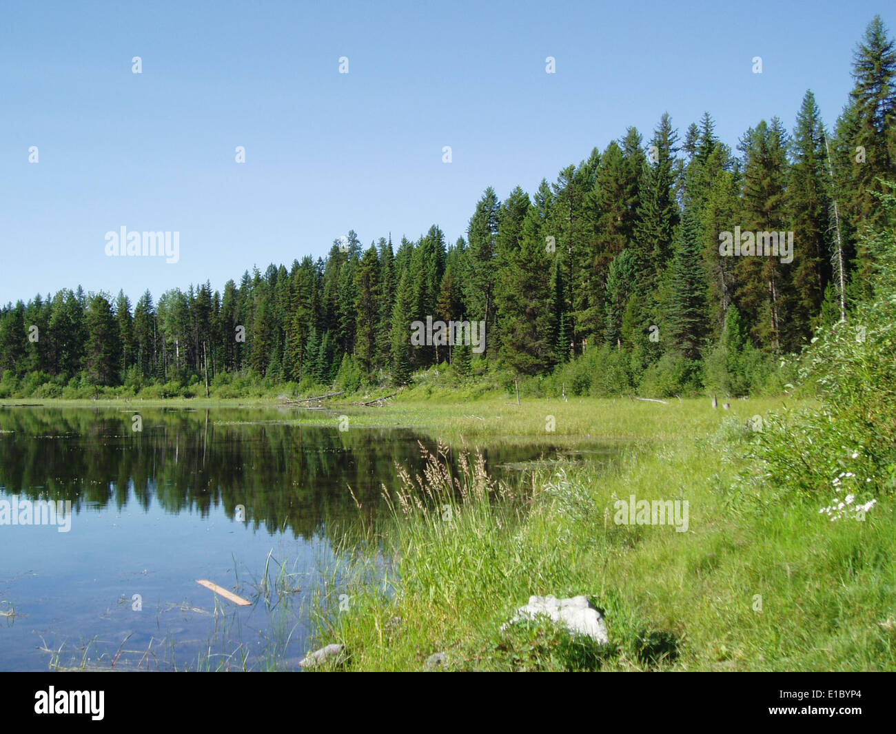 This photo captures the shore of Upper Stillwater Lake in the Flathead ...