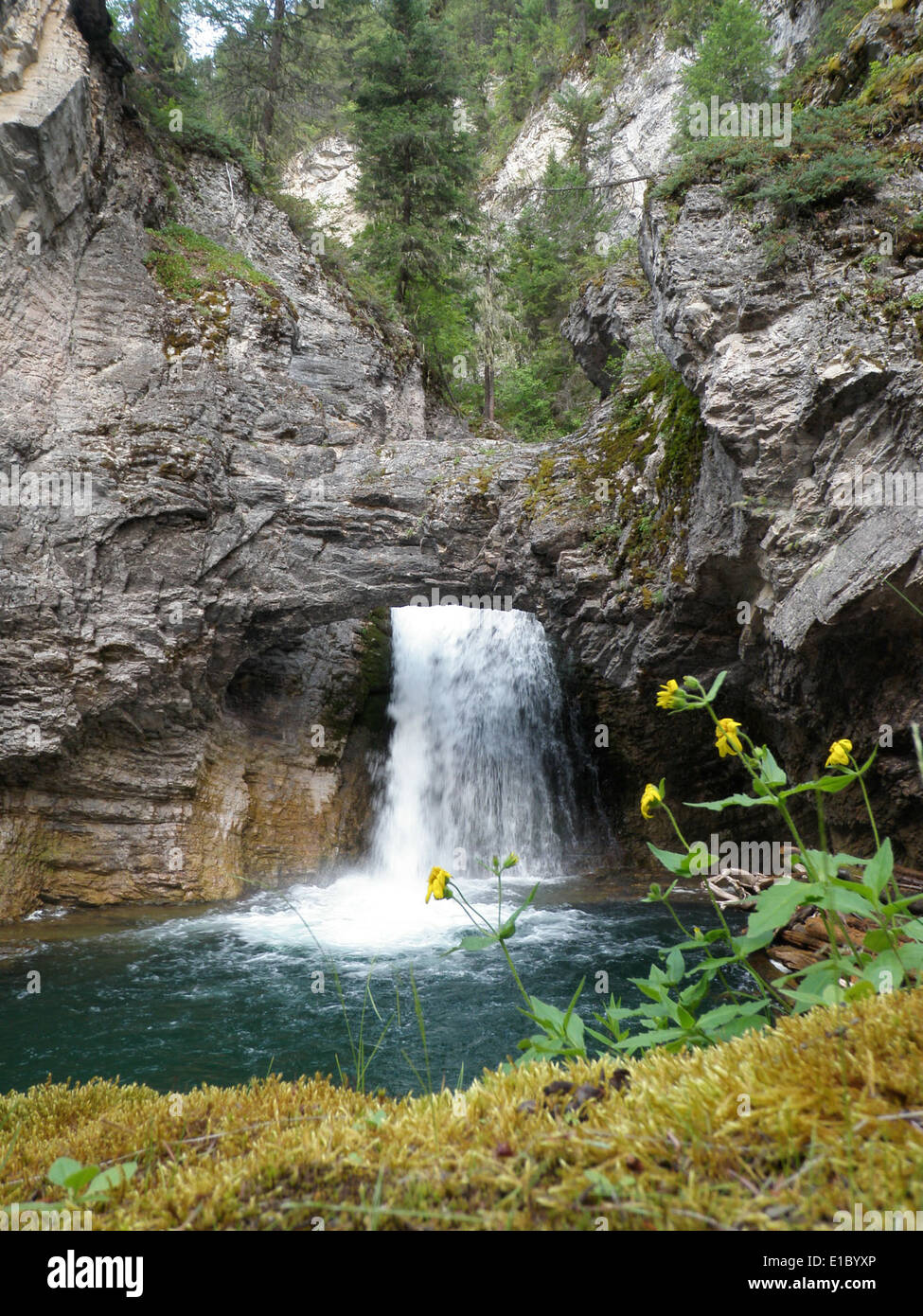 Marshall arch hi-res stock photography and images - Alamy