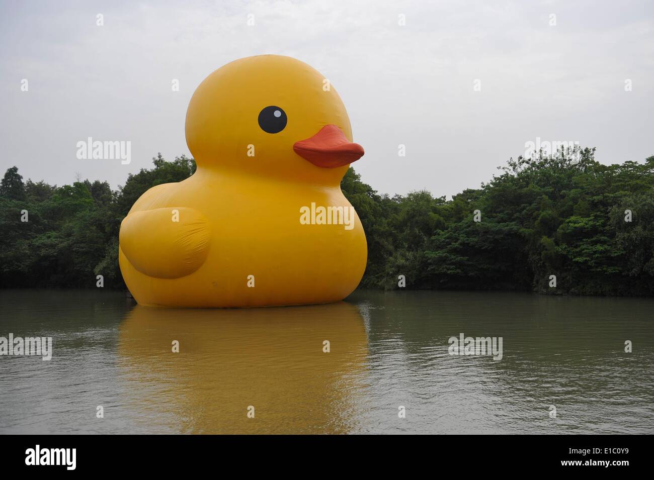 Hangzhou, China. 30th May, 2014. A giant inflatable Rubber Duck ...