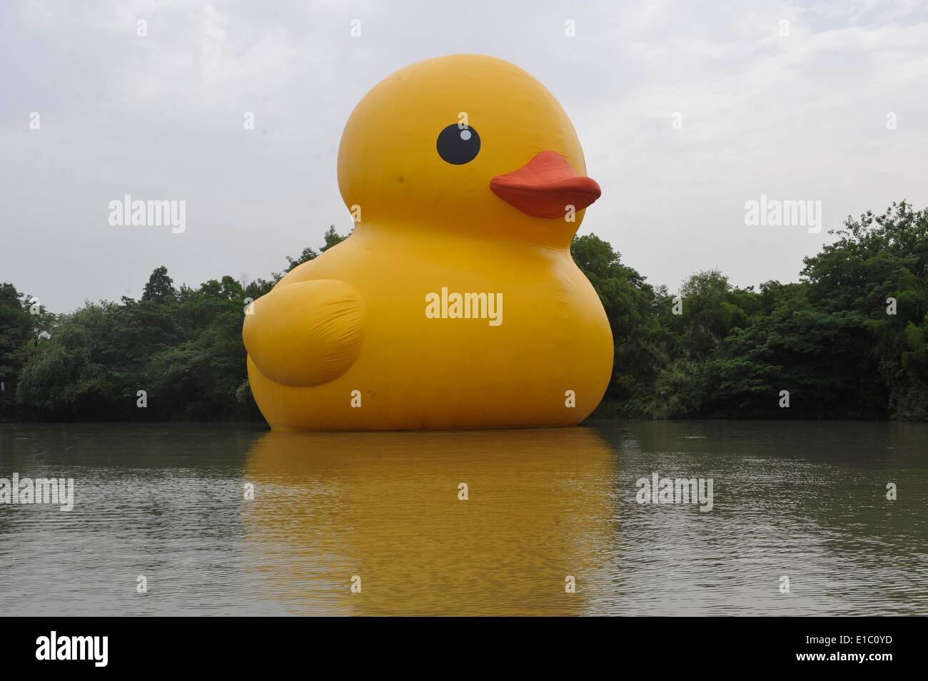 Hangzhou, China. 30th May, 2014. A giant inflatable Rubber Duck ...