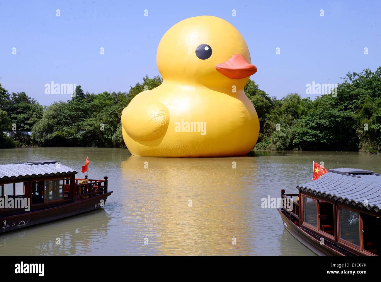 Hangzhou, China. 30th May, 2014. A giant inflatable Rubber Duck ...