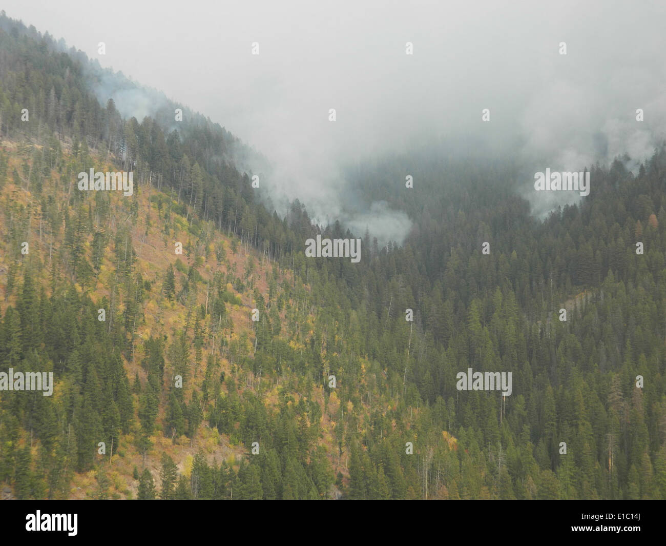 The Condon Mountain Fire, a significant wildfire event, affected a vast ...