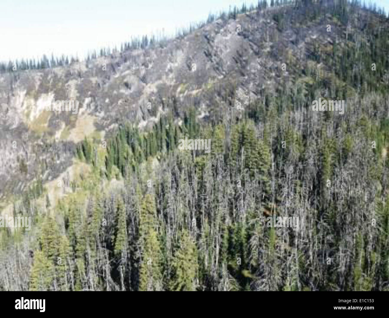 Fire pattern analysis hi-res stock photography and images - Alamy