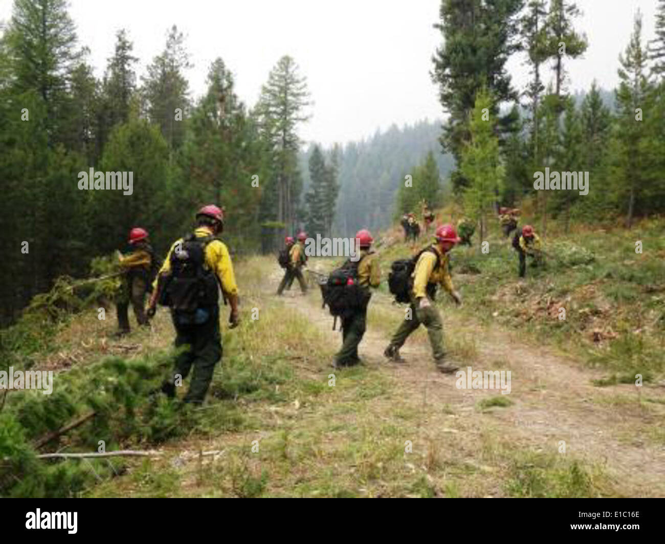 Firefighters construct fuel breaks to prevent wildfires from spreading ...