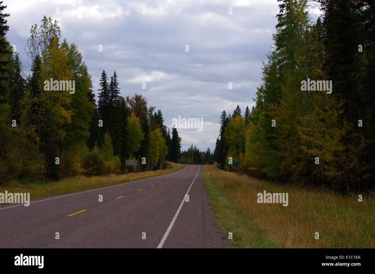 Fall colors along Swan Lake Ranger District offer a stunning display of ...