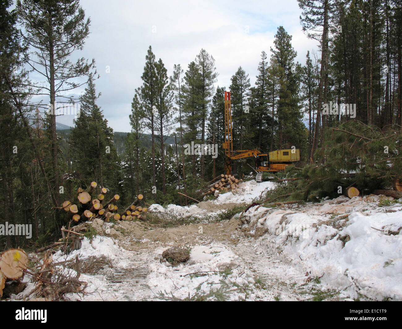 A winter scene depicting snow covering the ground, showcasing the stark ...