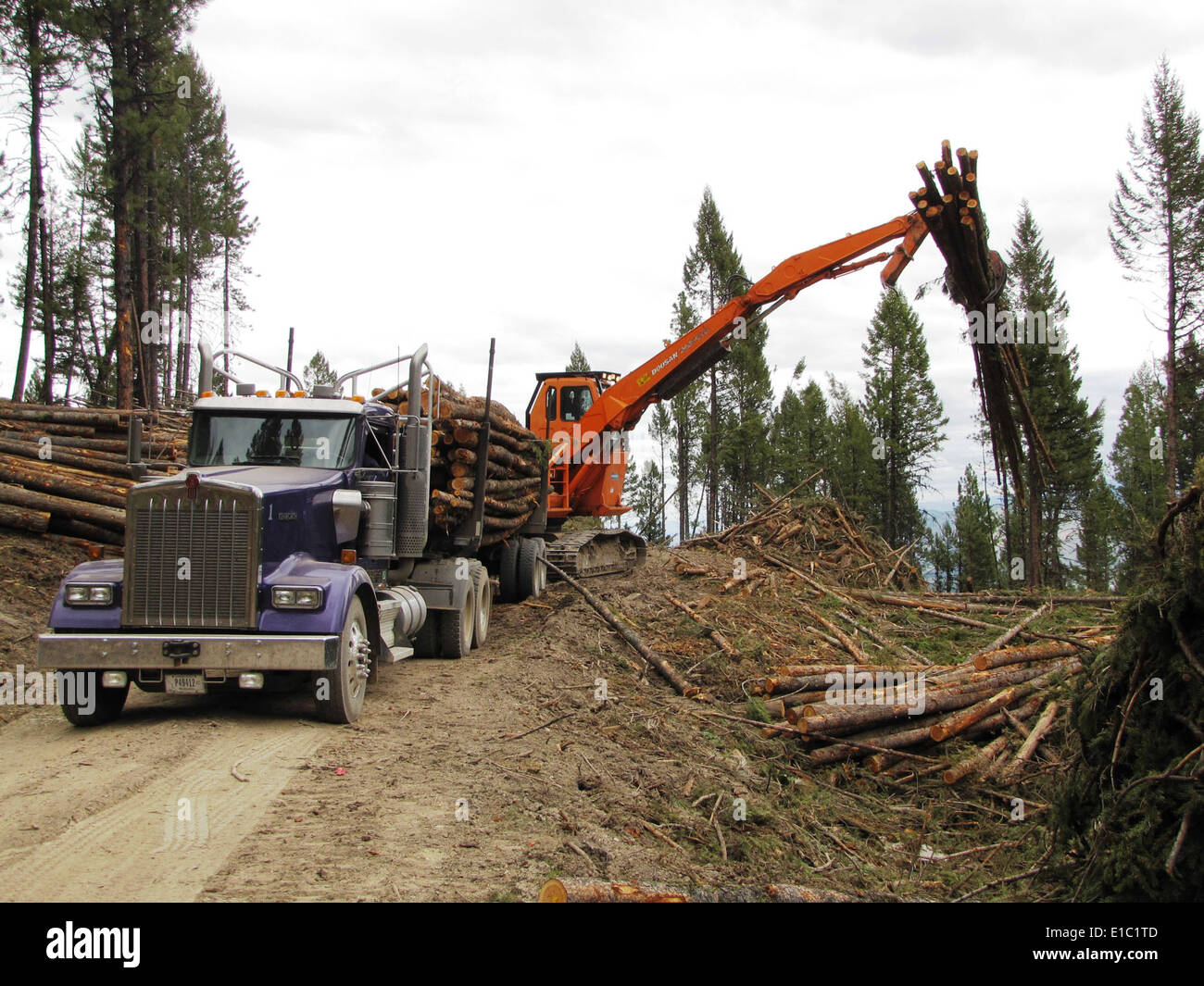 This image shows trucks being loaded during an operation, possibly ...