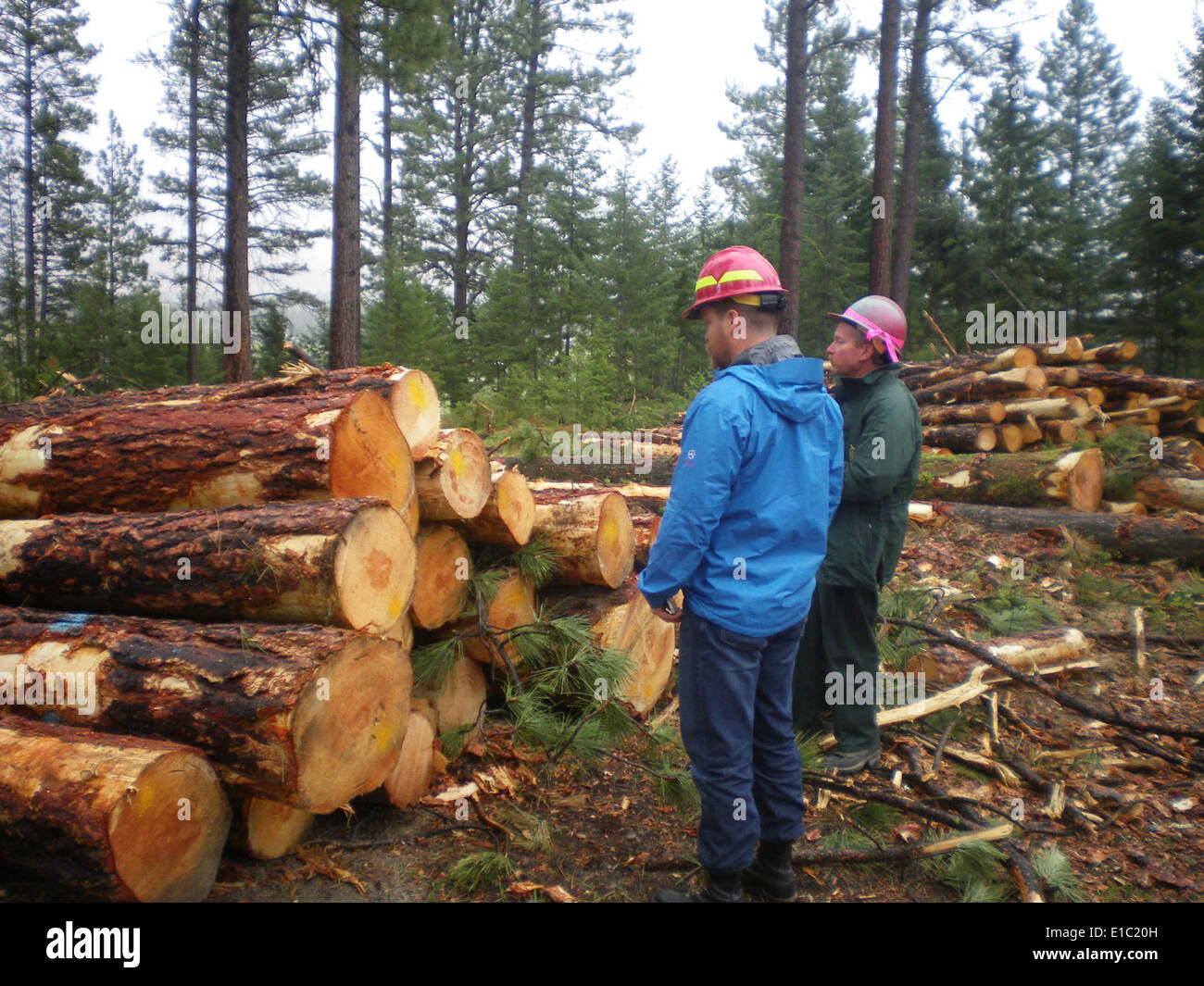 Logging methods hi-res stock photography and images - Alamy