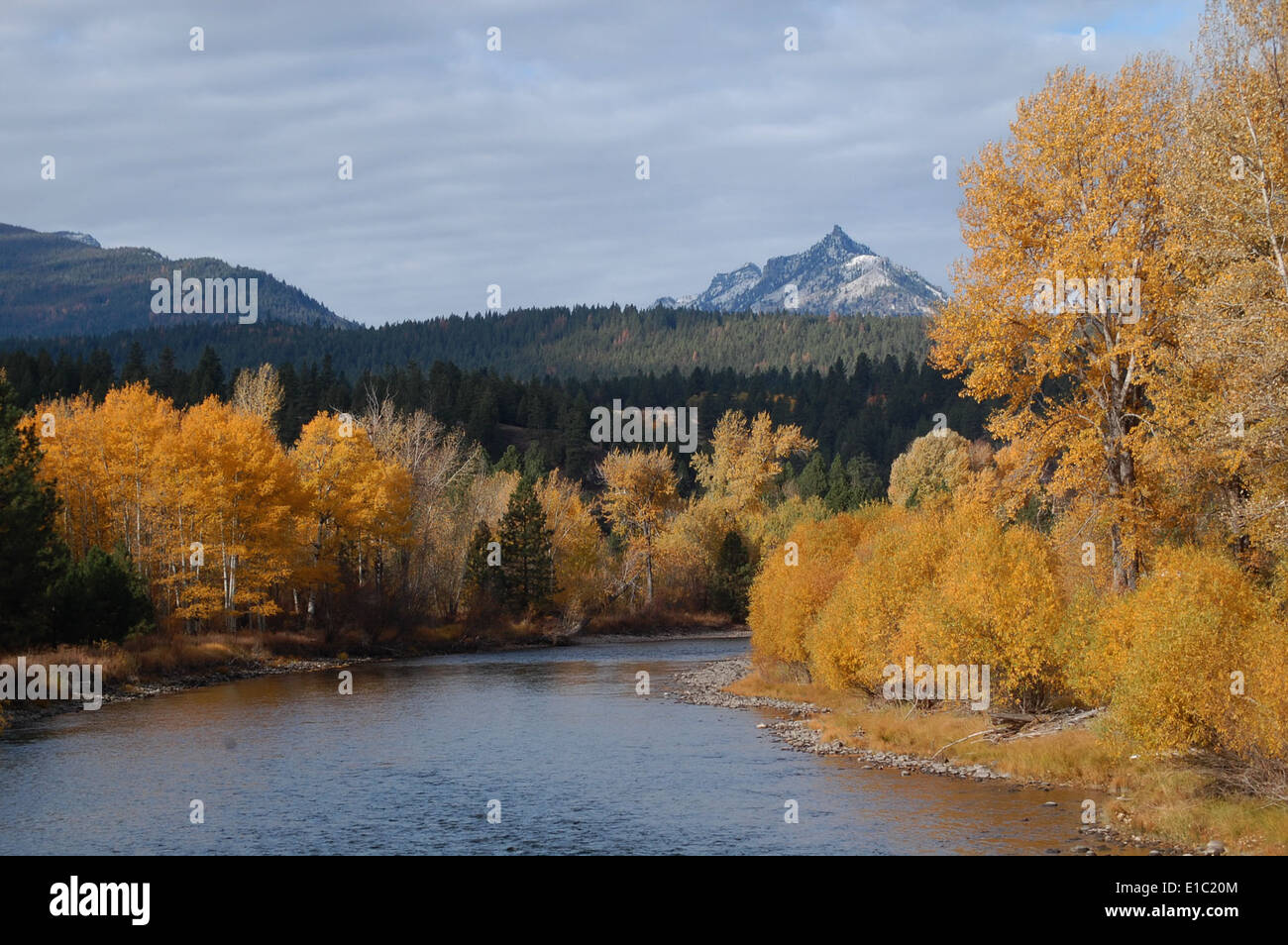 The Nez Perce National Historic Trail near Darby, Montana, is depicted ...
