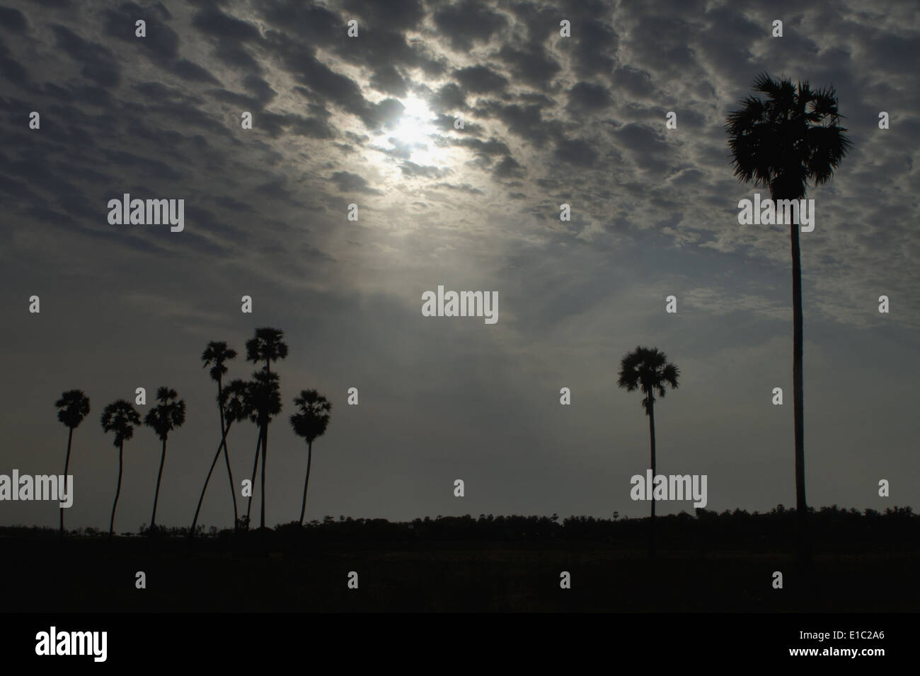 Mammalapuram hi-res stock photography and images - Alamy