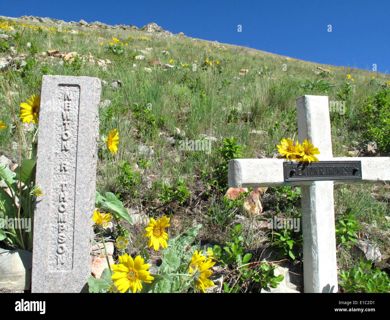 R newton hi-res stock photography and images - Alamy