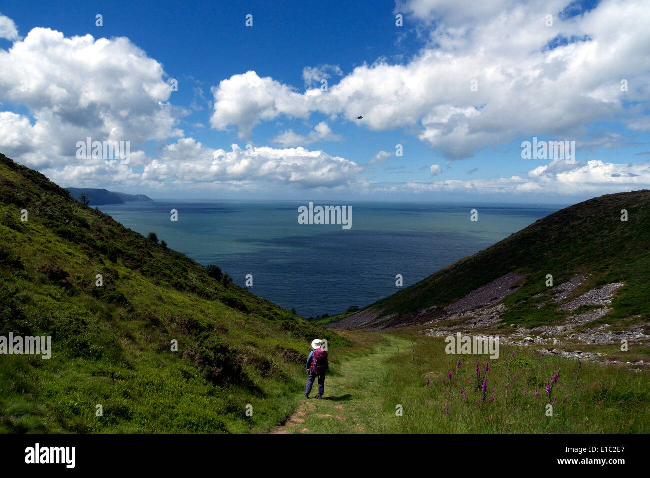 Backpacker walking the South West Coast Path, Hurlestone Combe near ...