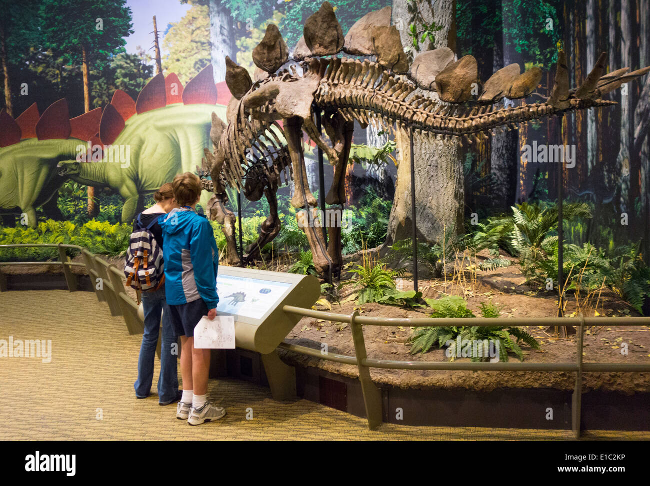Carnegie museum of natural history in Pittsburgh PA Stock Photo - Alamy