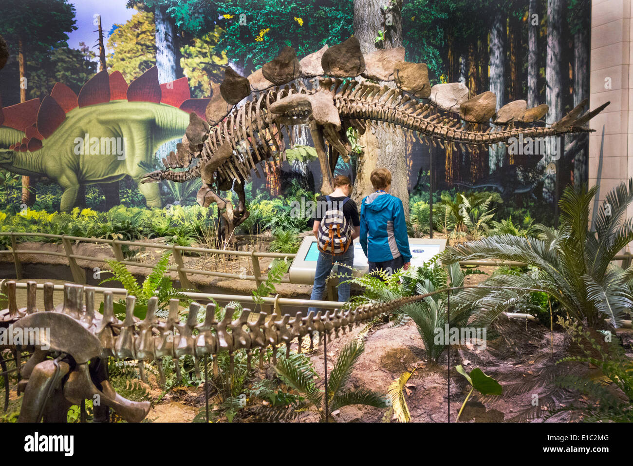 Carnegie museum of natural history in Pittsburgh PA Stock Photo - Alamy