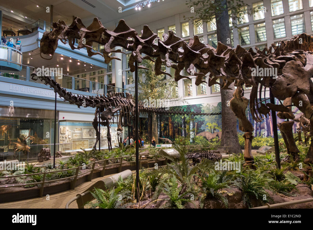 Carnegie museum of natural history in Pittsburgh PA Stock Photo - Alamy