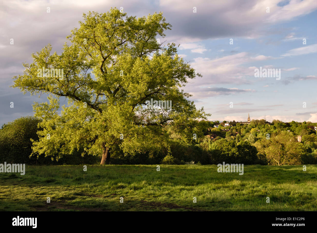 Parliament hill fields hi-res stock photography and images - Alamy