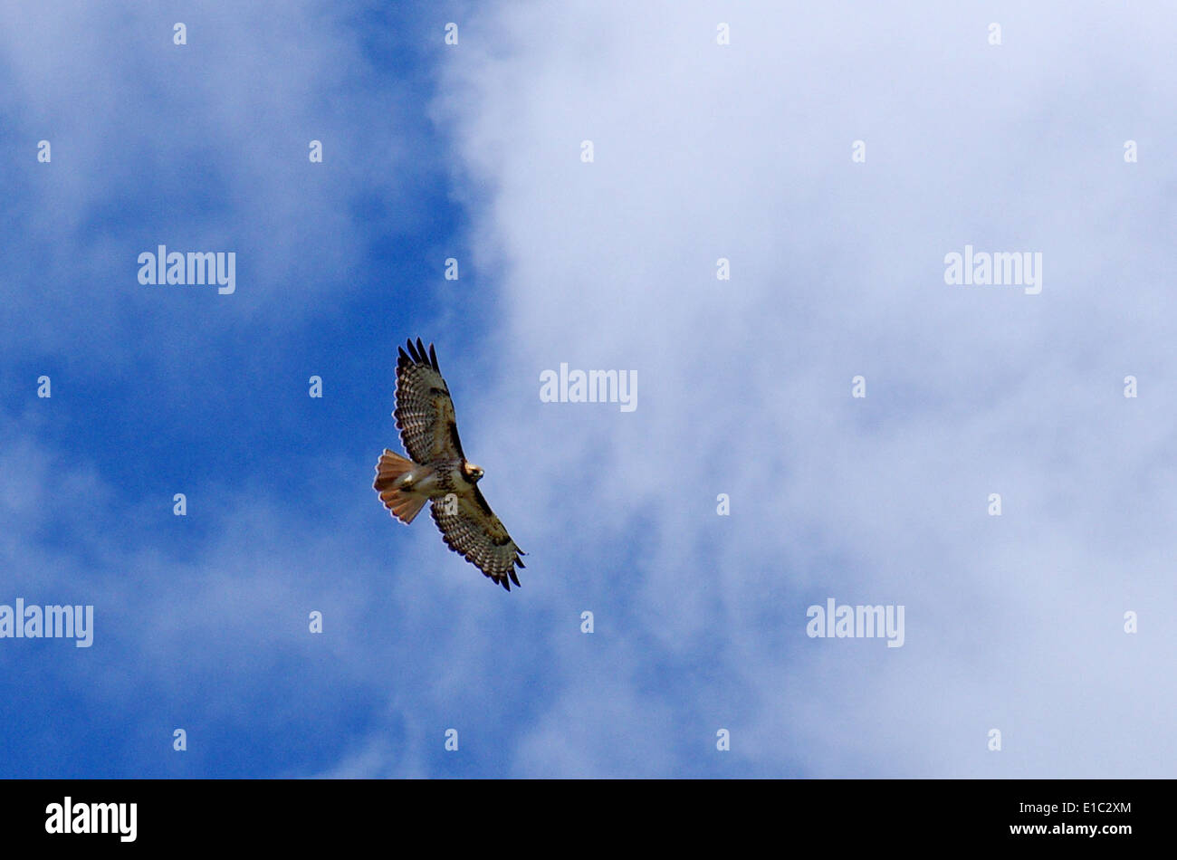 Glacier View Ranger District in Flathead National Forest offers ...