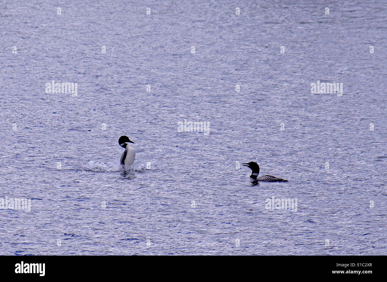 The Glacier View Ranger District in Flathead National Forest is ...