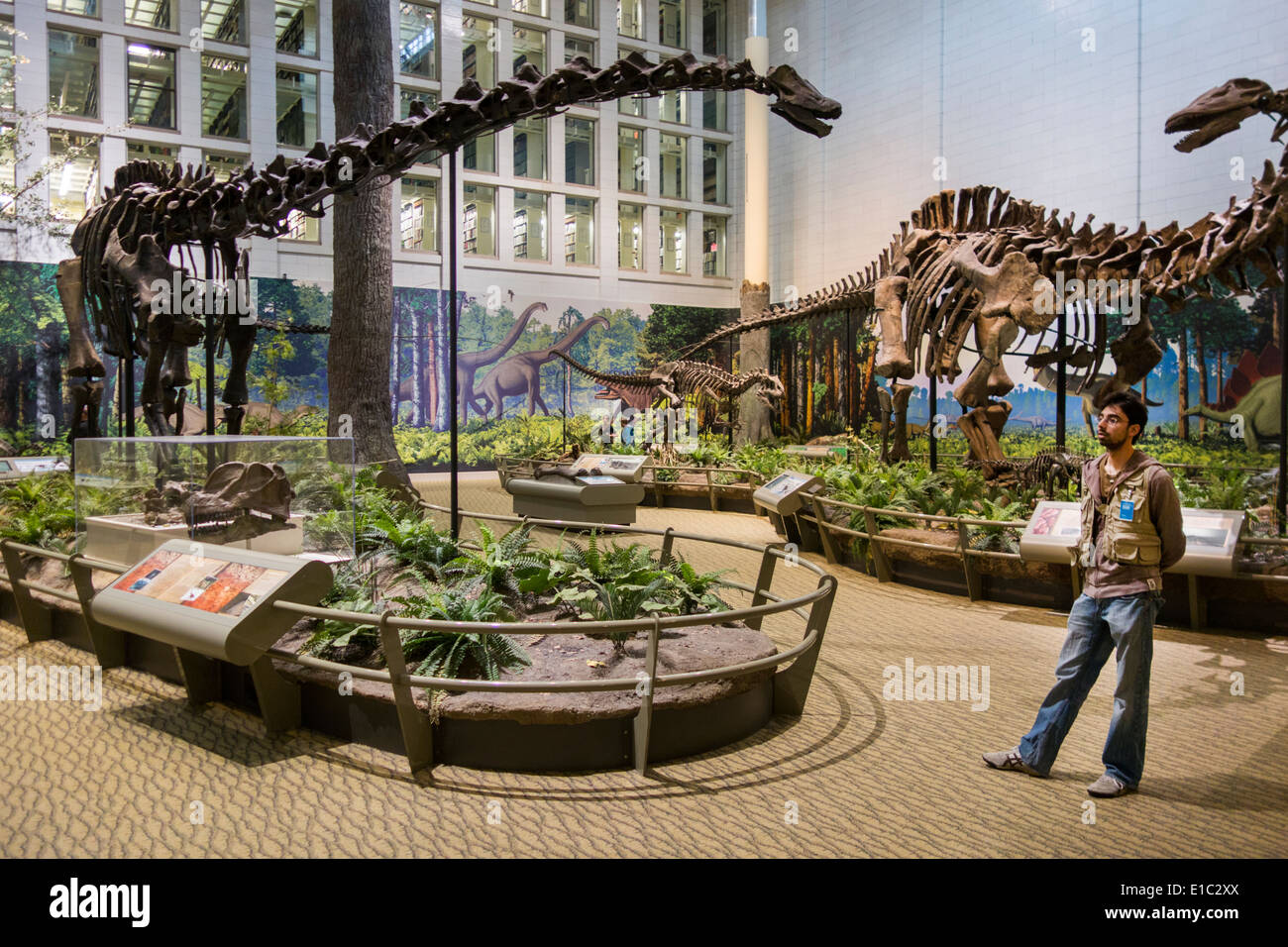 Carnegie museum of natural history in Pittsburgh PA Stock Photo - Alamy