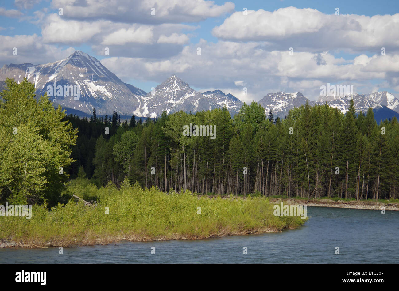 Glacier View Ranger District, Flathead NF Stock Photo - Alamy