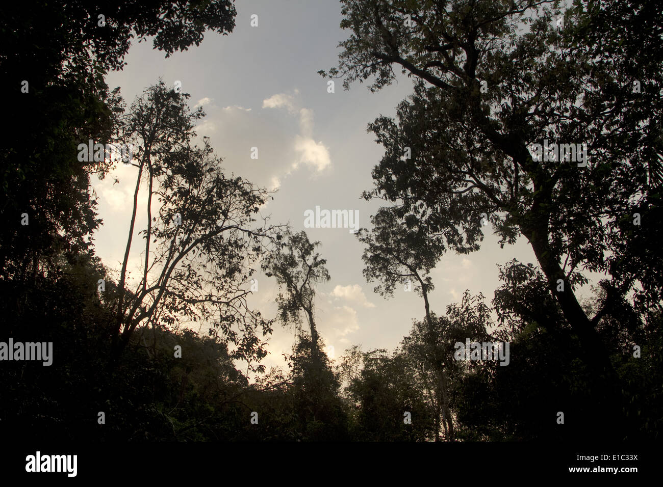 Mollem india hi-res stock photography and images - Alamy