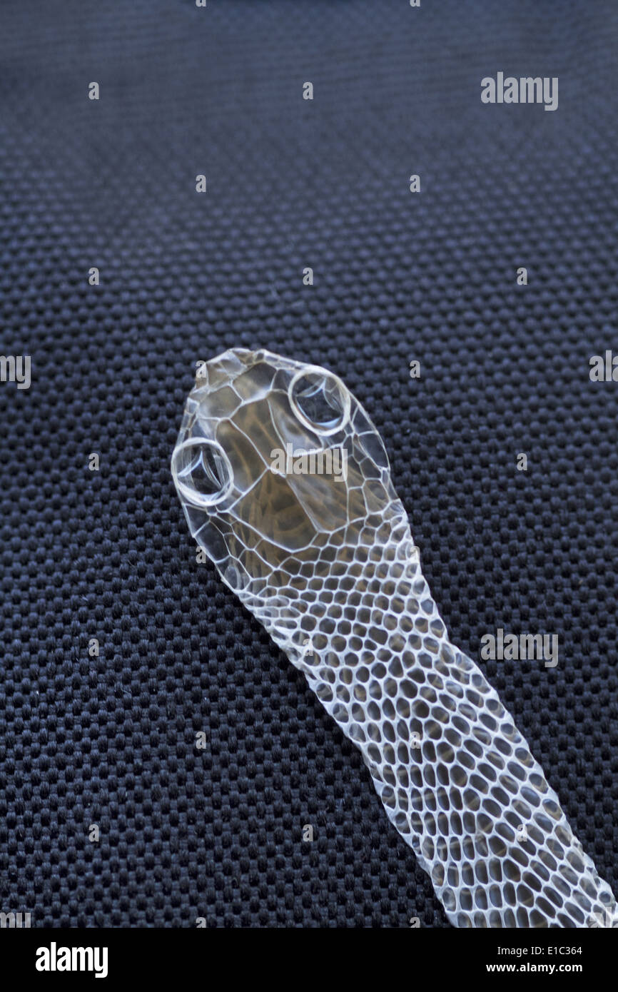 Shed texture hi-res stock photography and images - Alamy