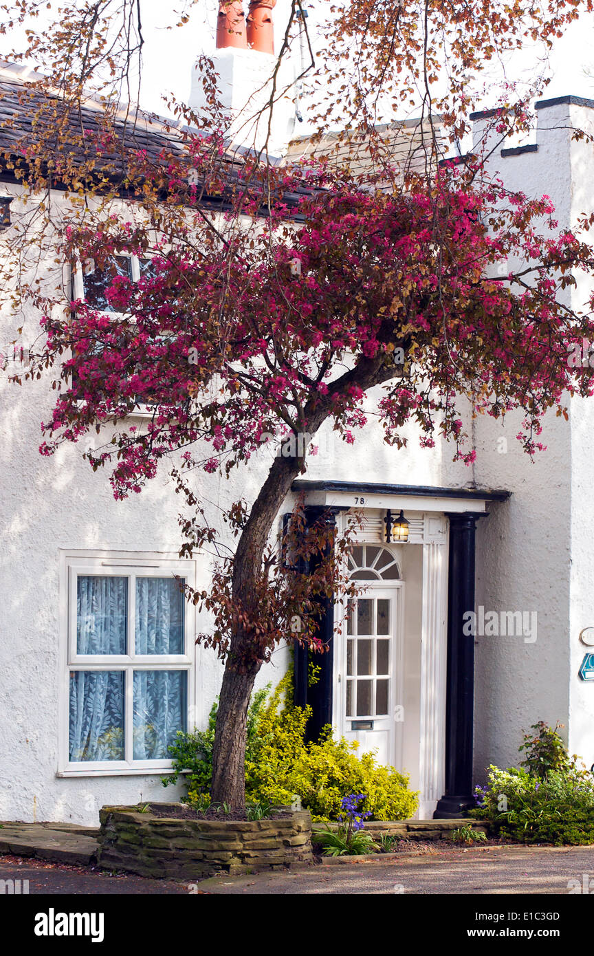 Front of small cottage in spring Stock Photo - Alamy