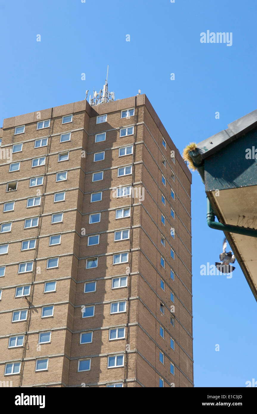 Demolition of high rise apartment blocks Stock Photo - Alamy