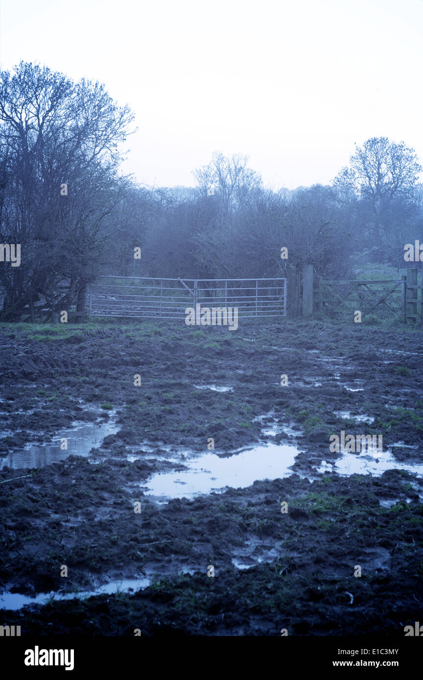 Muddy farm field in winter Stock Photo - Alamy