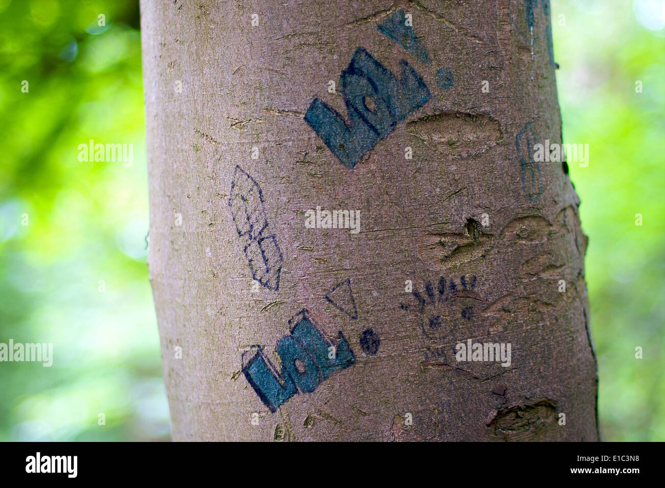 Graffiti on tree trunk Stock Photo - Alamy