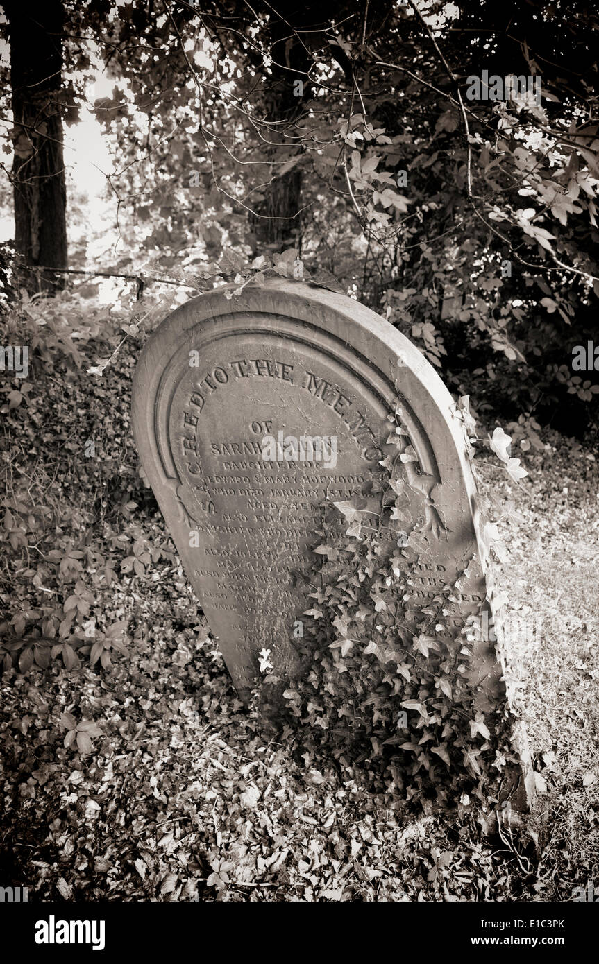 Overgrown cemetery hi-res stock photography and images - Alamy