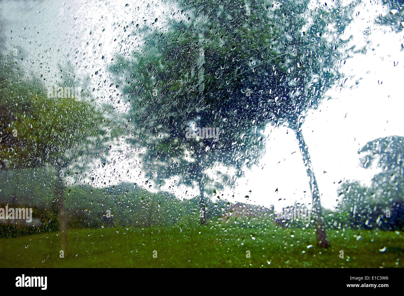 Wind and rain against window Stock Photo - Alamy
