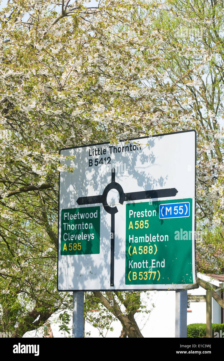 Road direction sign against spring blossoms Stock Photo - Alamy