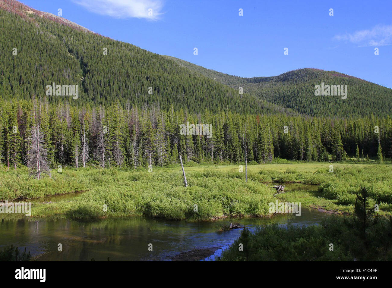 Helena creek hi-res stock photography and images - Alamy