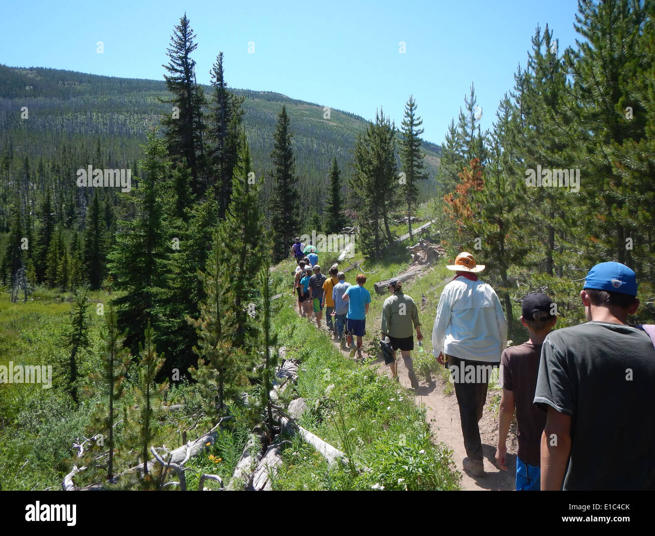 Kids participating in the Youth Forest Monitoring Program hike in the ...