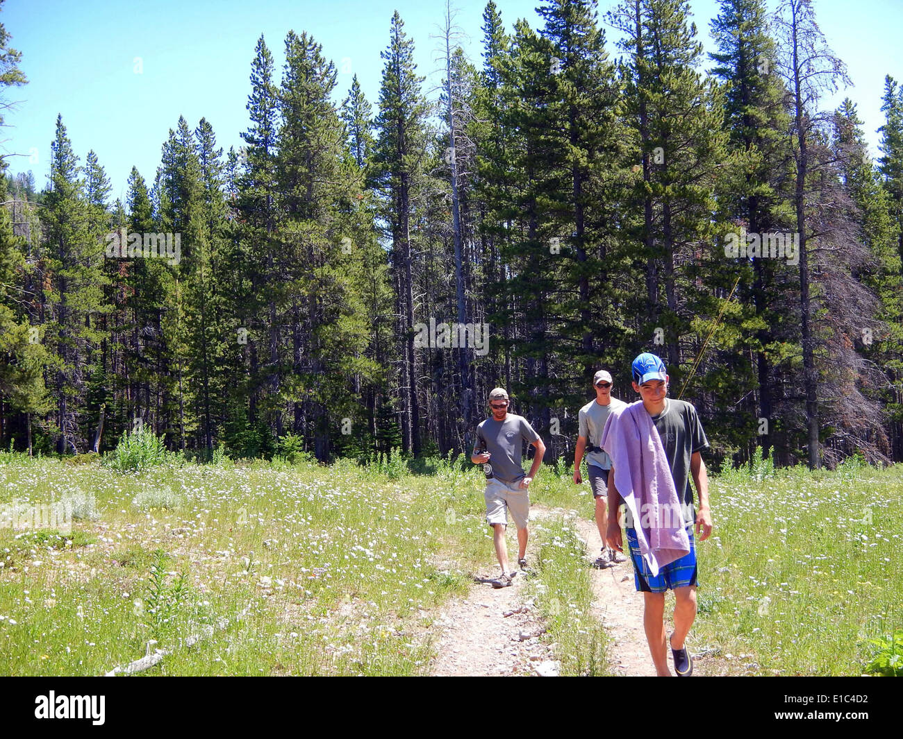 Scapegoat wilderness hi-res stock photography and images - Alamy