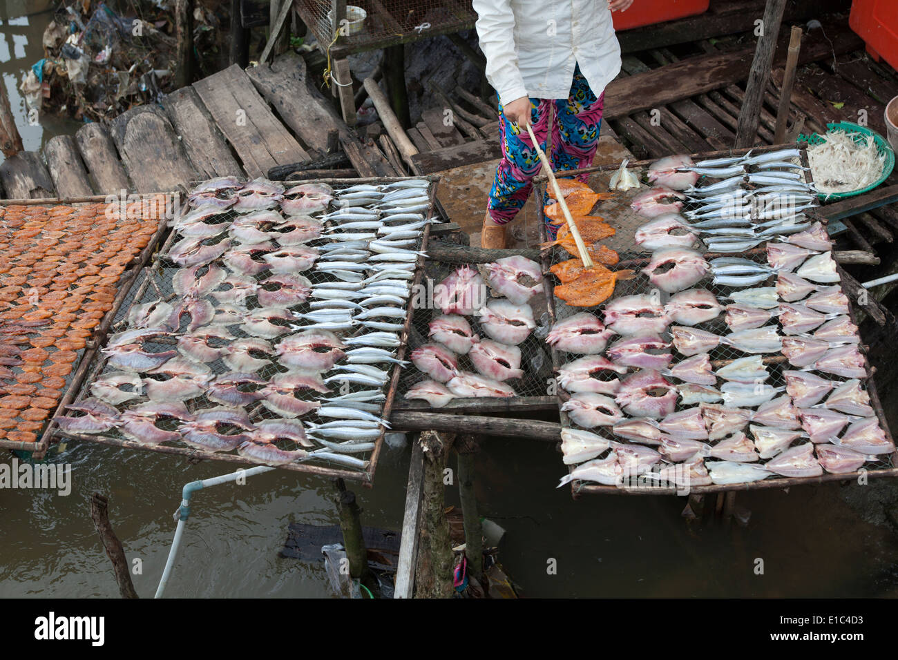 Ham Ninh Fishing Village on Phu Quoc Island in Vietnam Stock Photo - Alamy