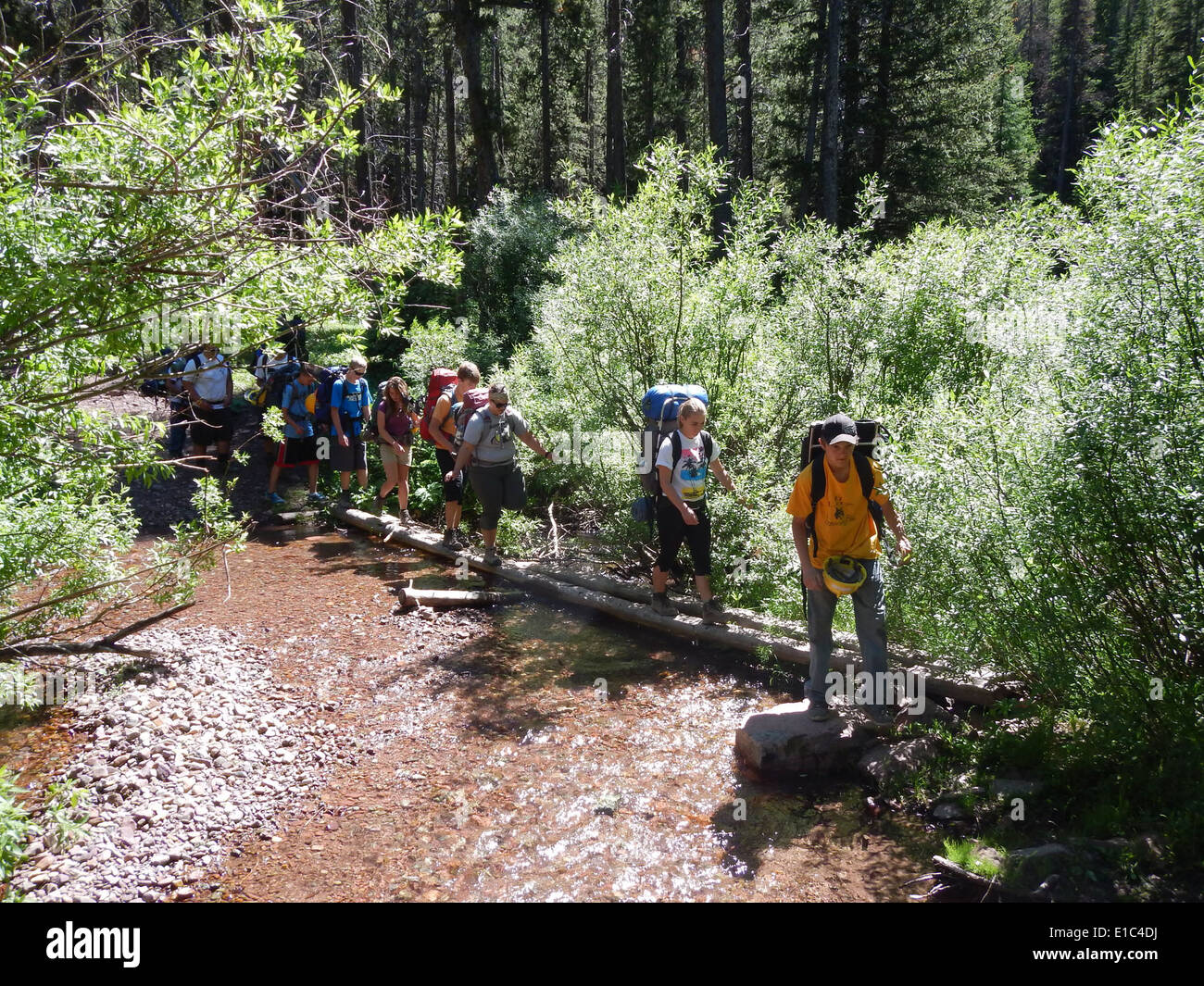 Youth participate in the Youth Forest Monitoring Program (YFMP) in the ...