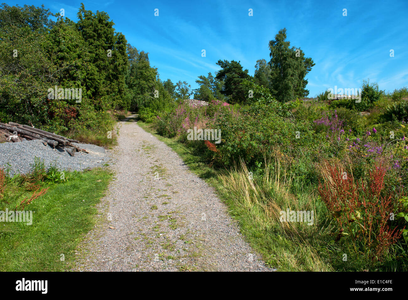 Summer in Sweden - footpath at Harstena island the archipelago of Gryt ...