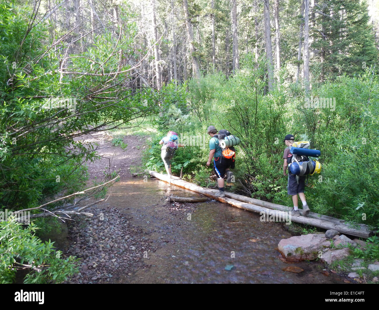 Scapegoat wilderness hi-res stock photography and images - Alamy
