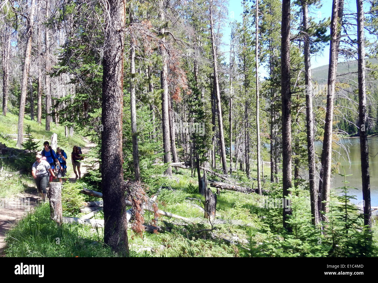 Students and field instructors with the Youth Forest Monitoring Program ...