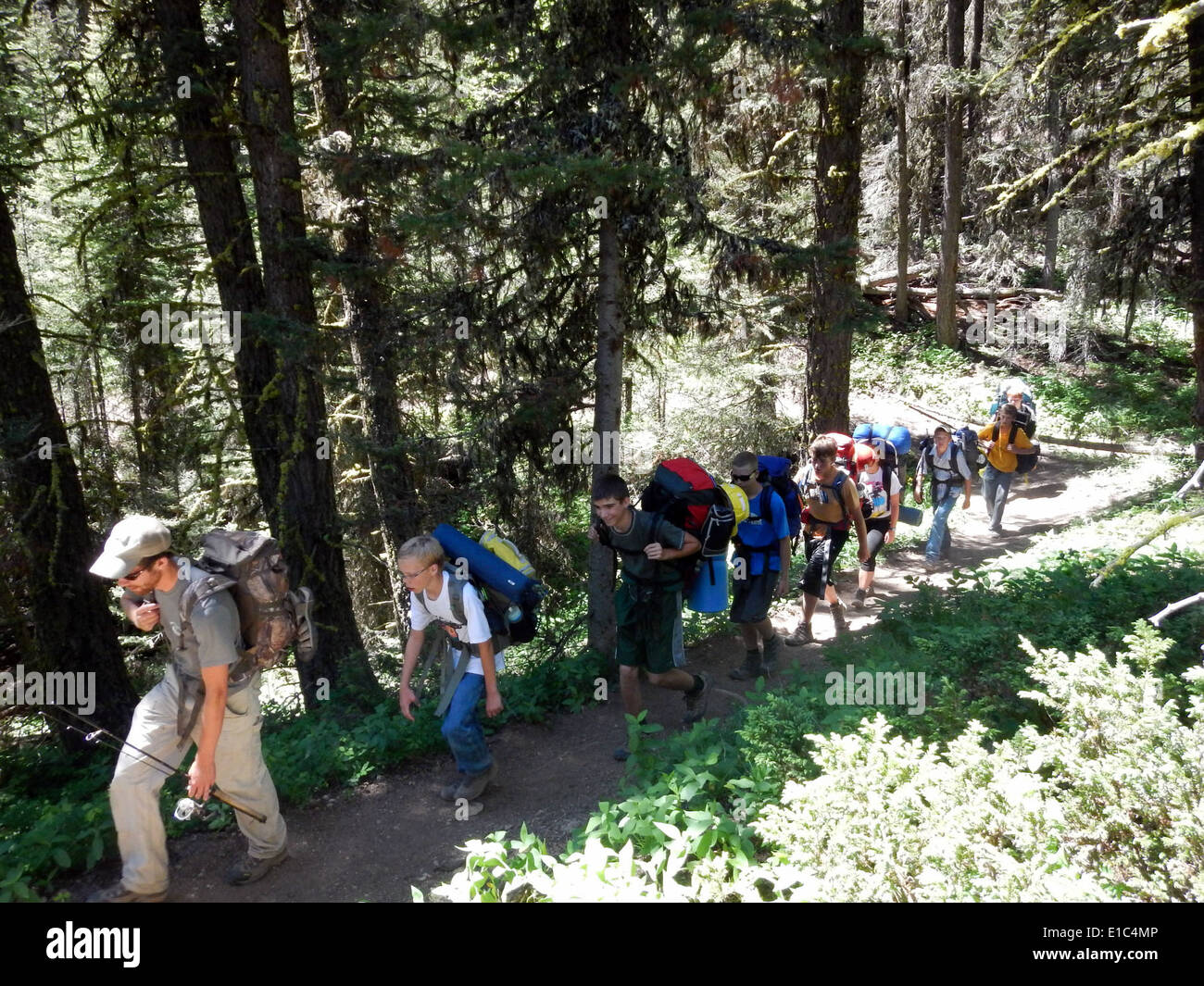 Educational program forest hi-res stock photography and images - Alamy