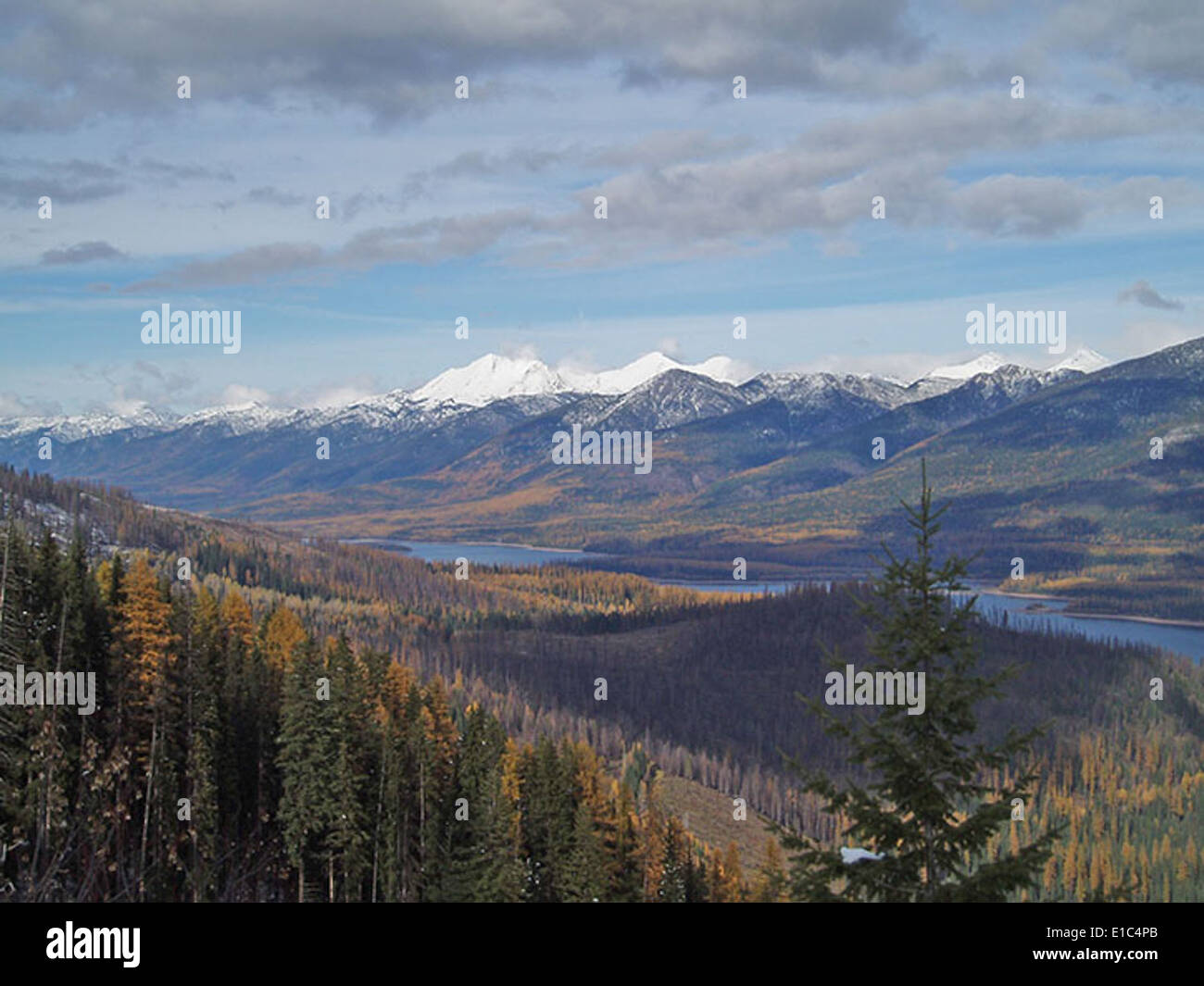 The Hungry Horse and Spotted Bear Ranger Districts within the Flathead ...