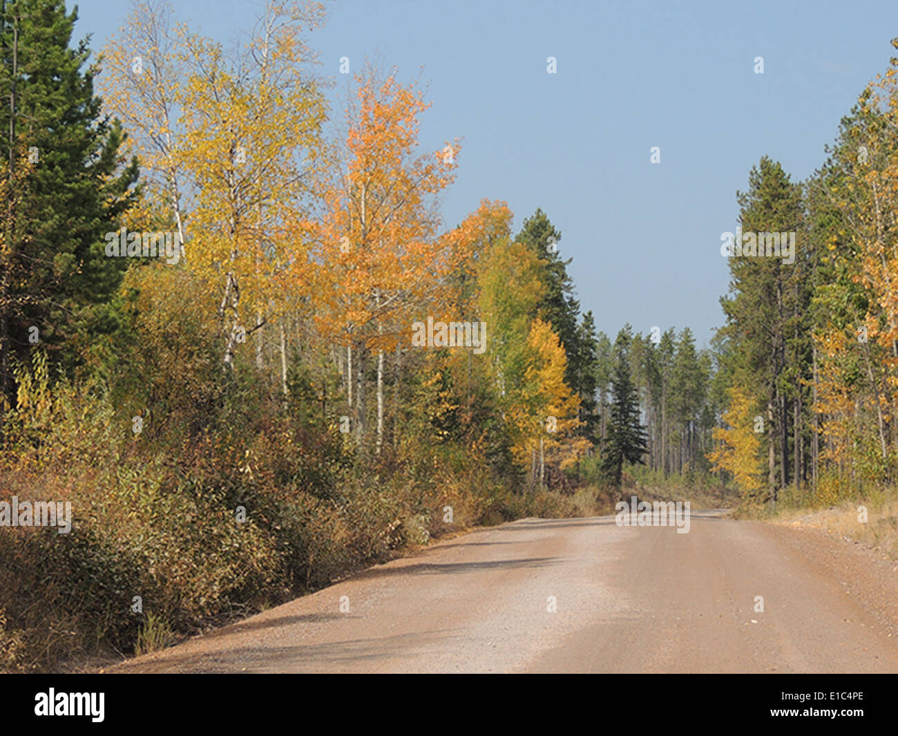 The Glacier View Ranger District in Flathead National Forest offers ...