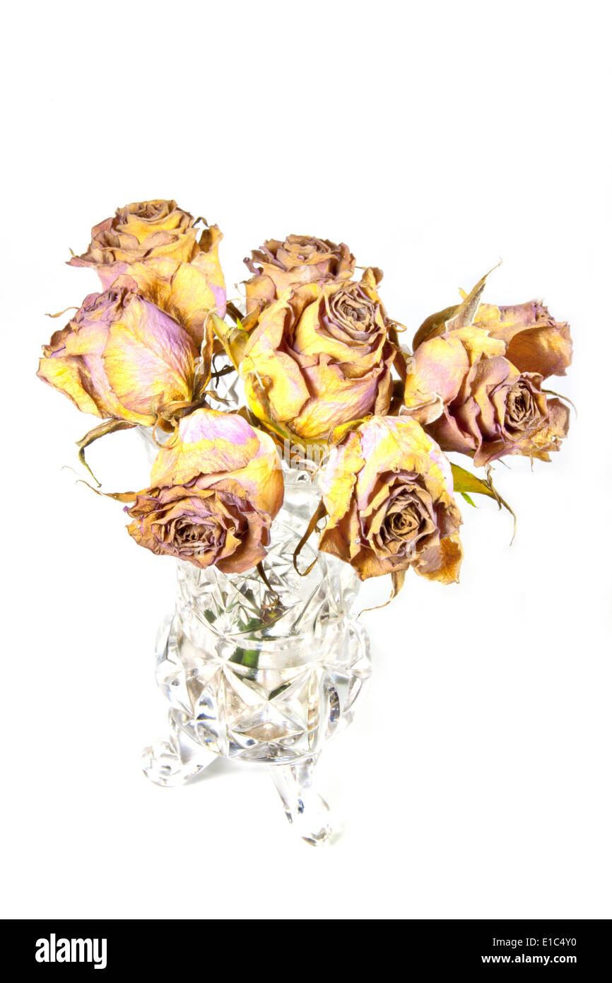 Dead Dying Red Roses High Resolution Stock Photography and Images - Alamy