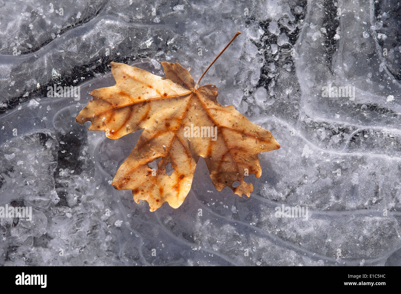 Ice colours hi-res stock photography and images - Alamy