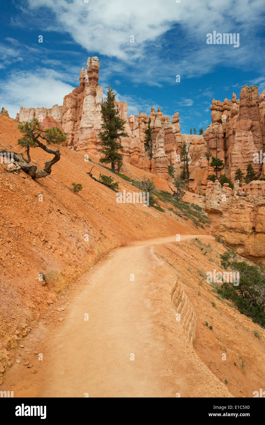 Sandstone pillars hi-res stock photography and images - Alamy