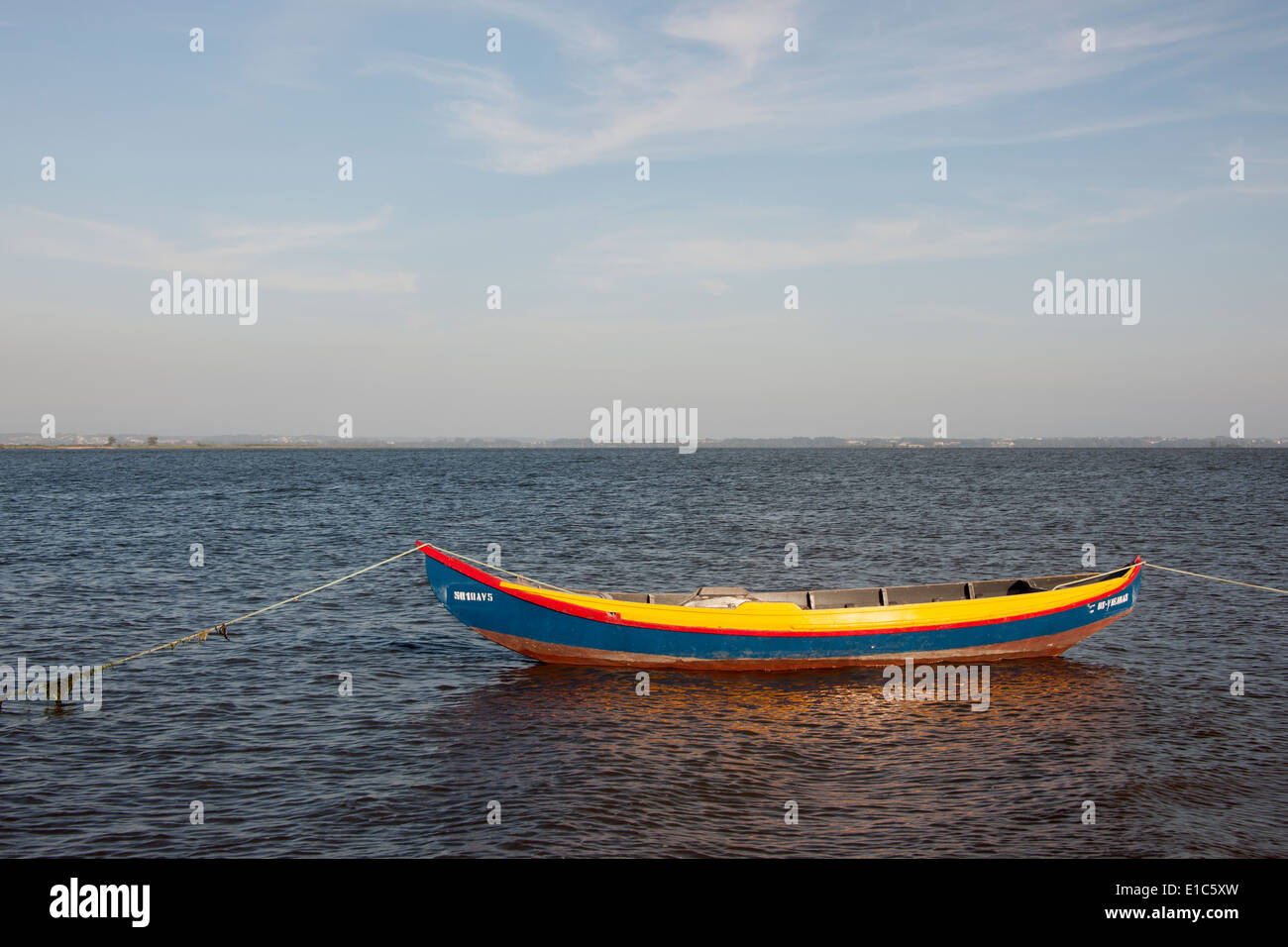 A traditional moliceiros fishing boat with high prow, painted in vivid ...