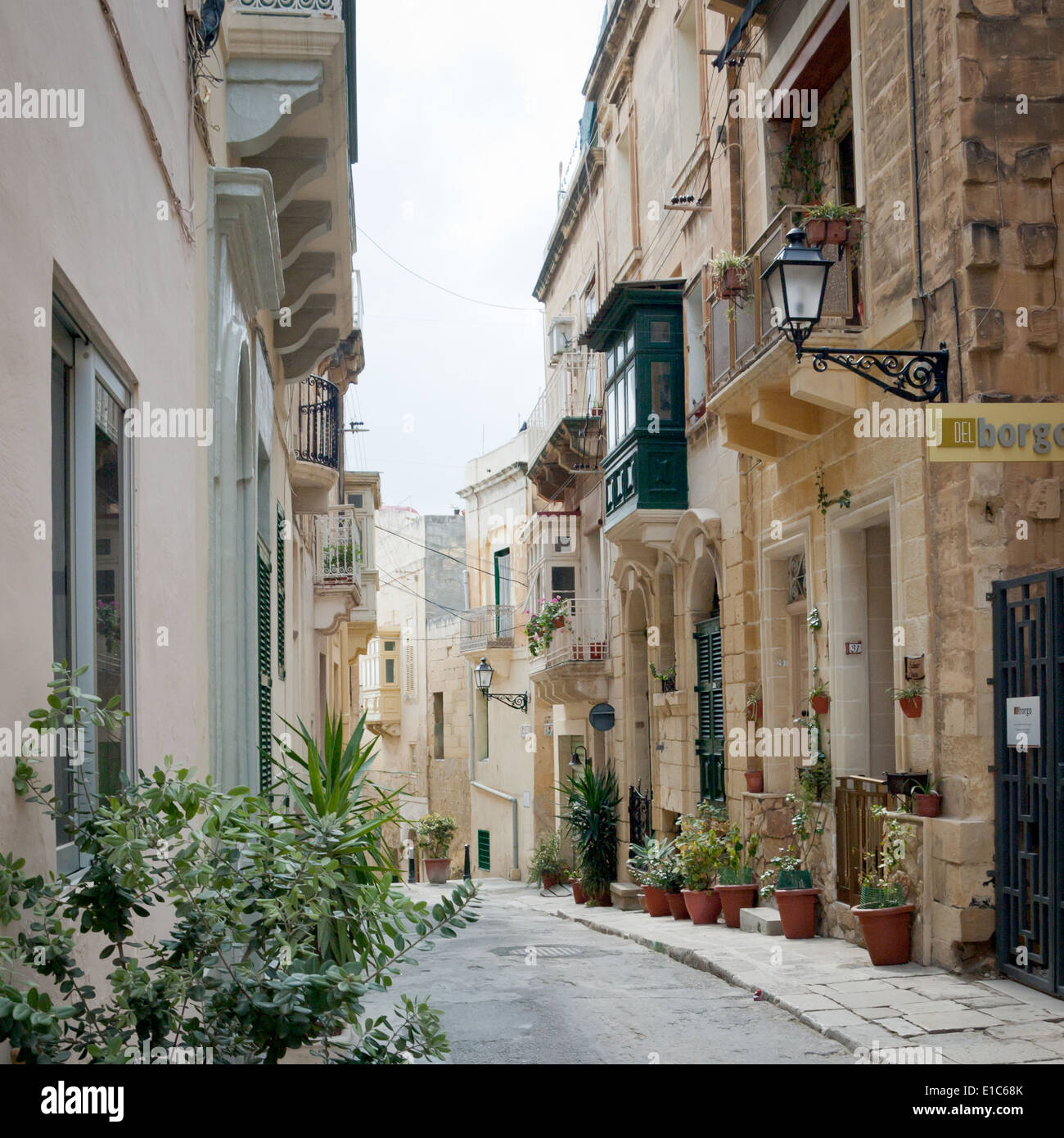 Plants and flowers in terra cotta pots line the quiet and pleasant ...