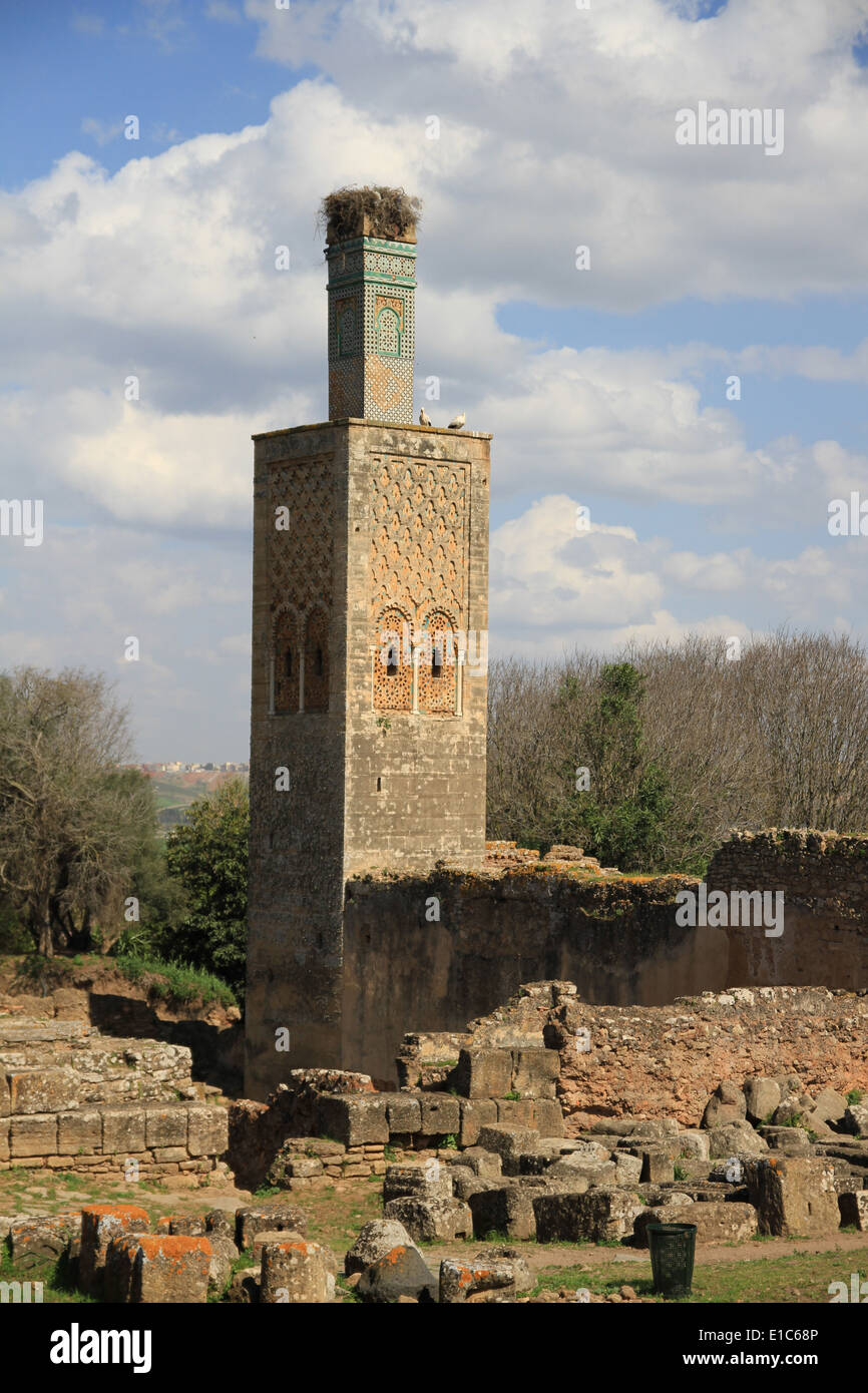 Chellah is a necropolis and complex of ancient Roman and medieval ruins ...